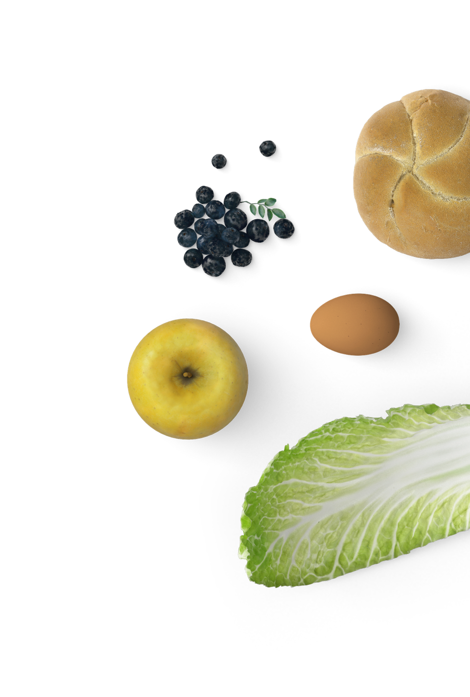 Need Help? | Edmonton's Food Bank