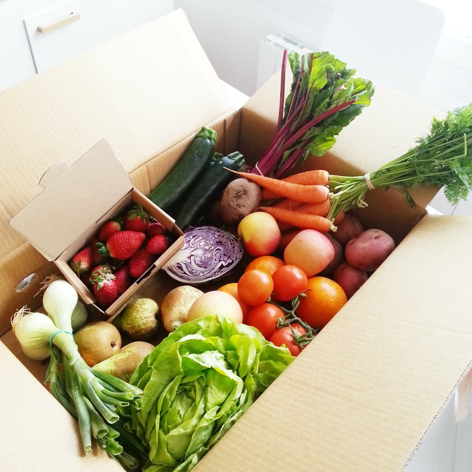 Programs | Edmonton's Food Bank